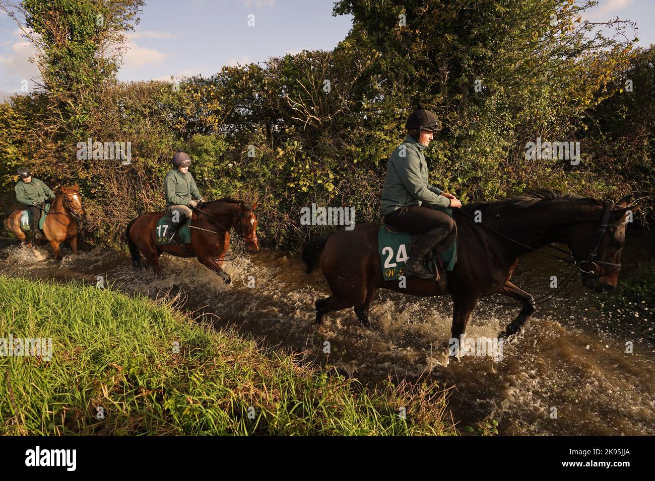 Left to right, James Du Berlais, Jungle Boogie and Sharjah during a ...