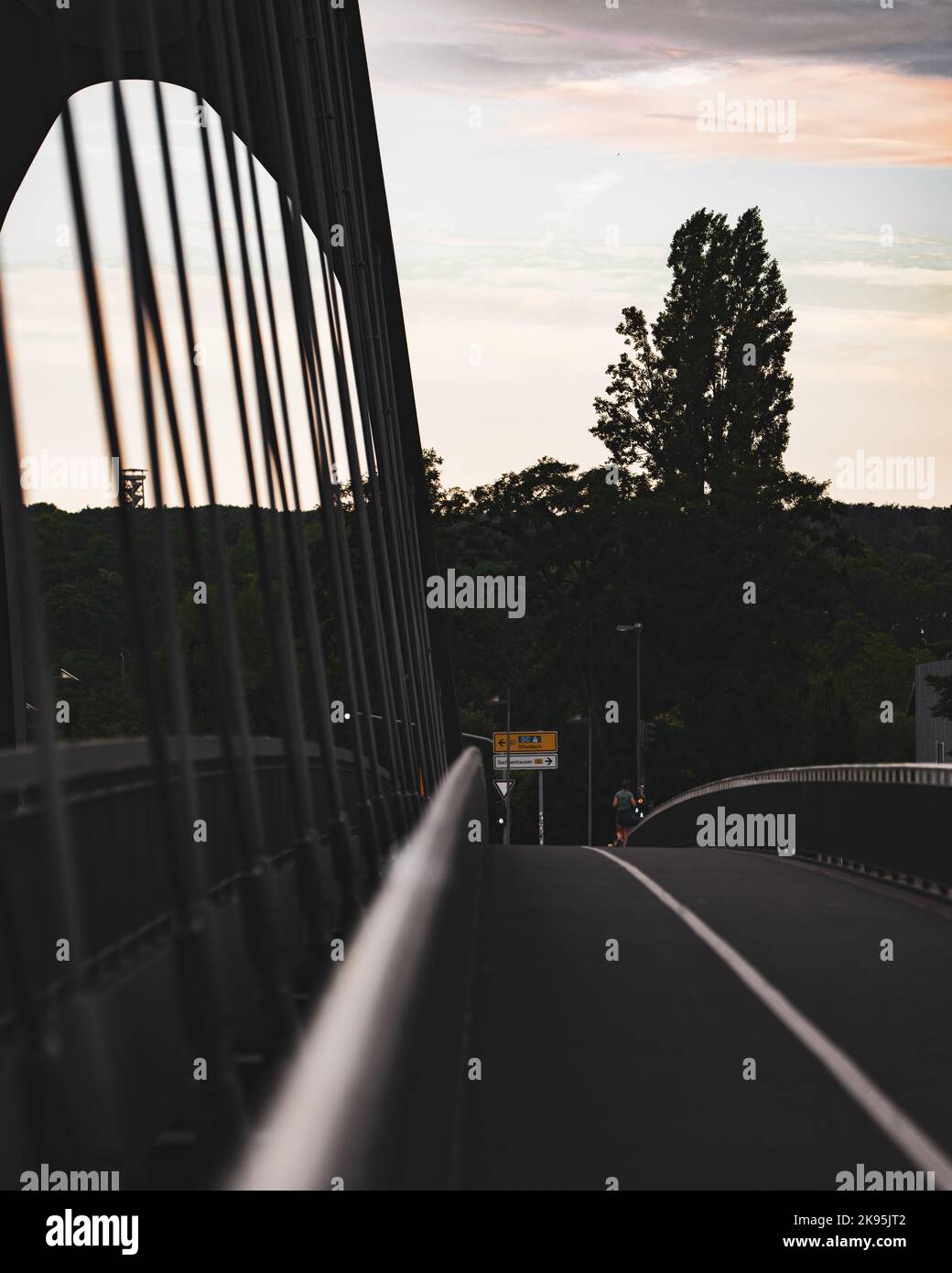 A vertical shot of cables of a modern bridge Stock Photo - Alamy
