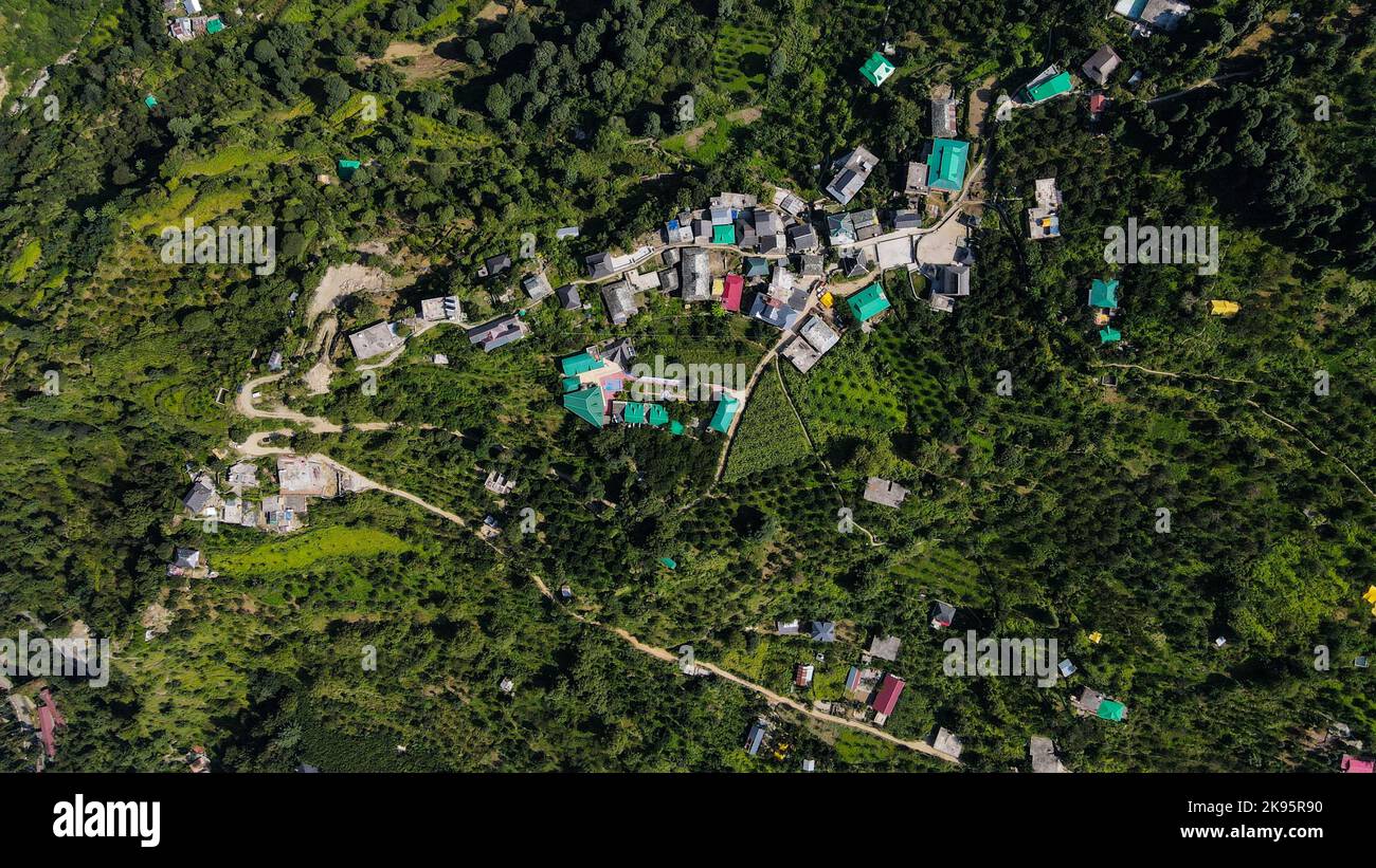 A top view of a lush forest with pathways and colorful roof buildings ...