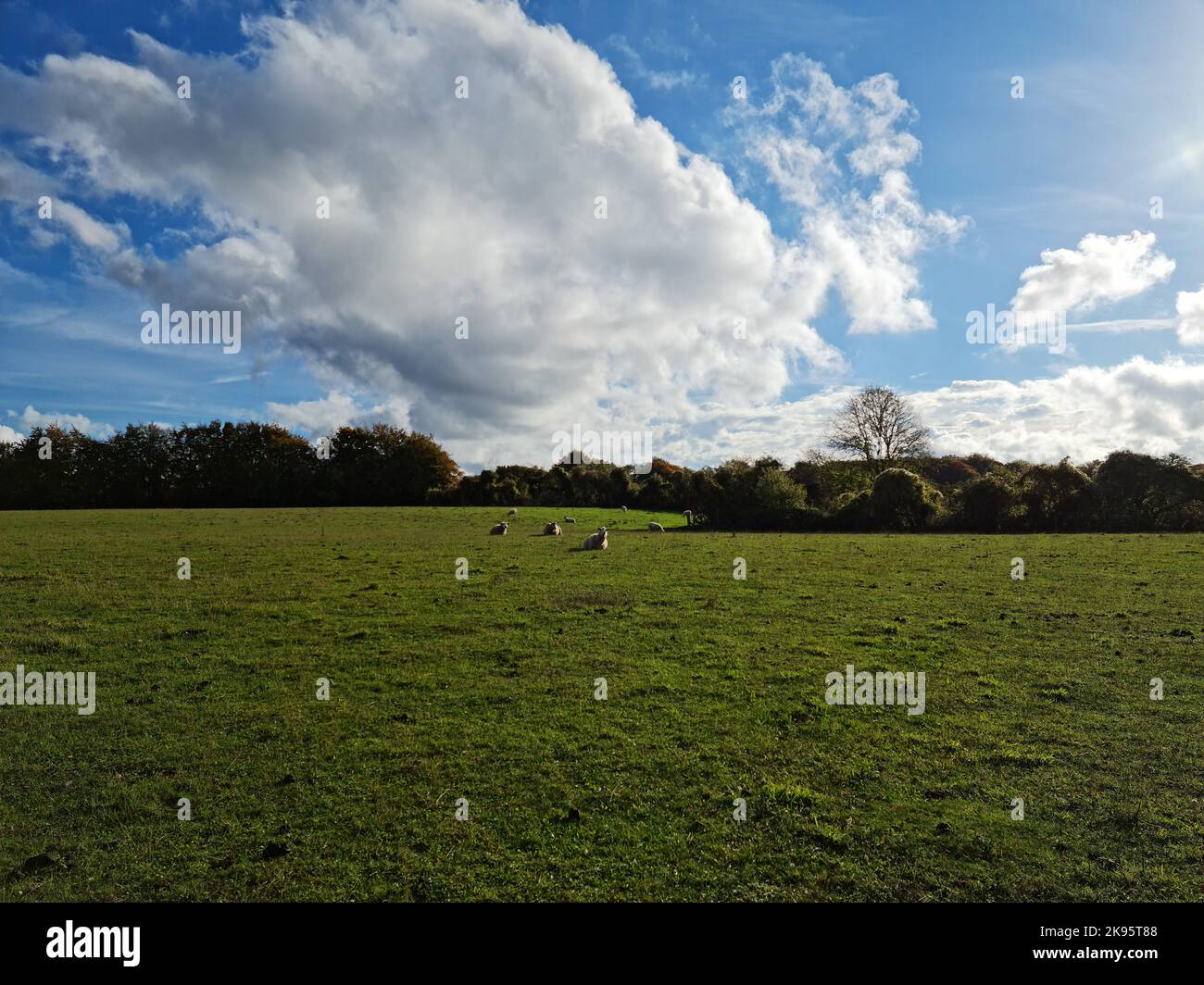 High angle agricultural land hi-res stock photography and images - Alamy