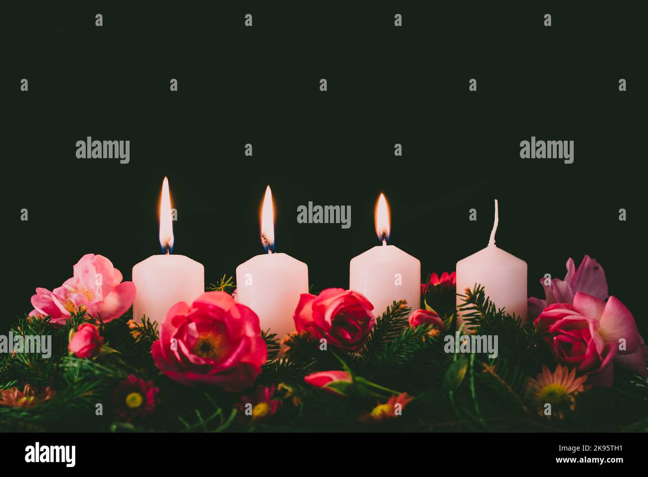 third burning advent candle on decorated rose flower pink advent wreath ...
