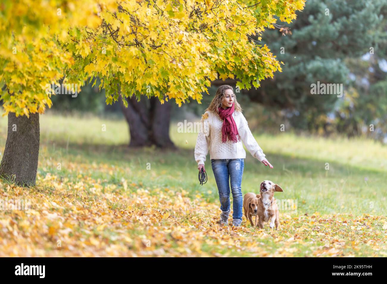 Two people walking in a park with a dog hi-res stock photography and ...