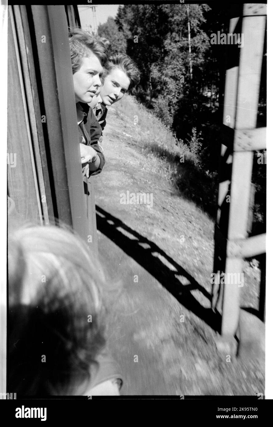 Line image with train travelers leaning out through the windows Stock ...