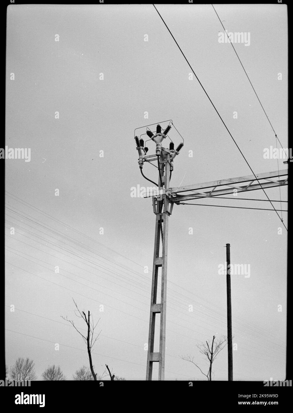 Detail contact line post Black and White Stock Photos & Images - Alamy