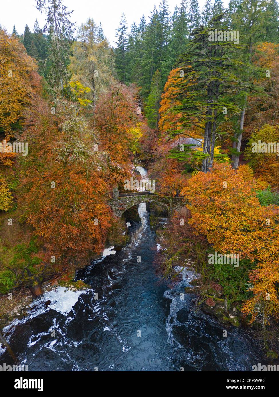 Aerial view of autumn colours surrounding Black Linn Falls on River ...