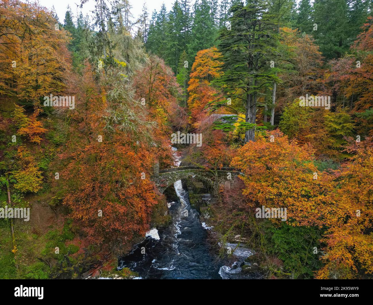 Aerial view of autumn colours surrounding Black Linn Falls on River ...