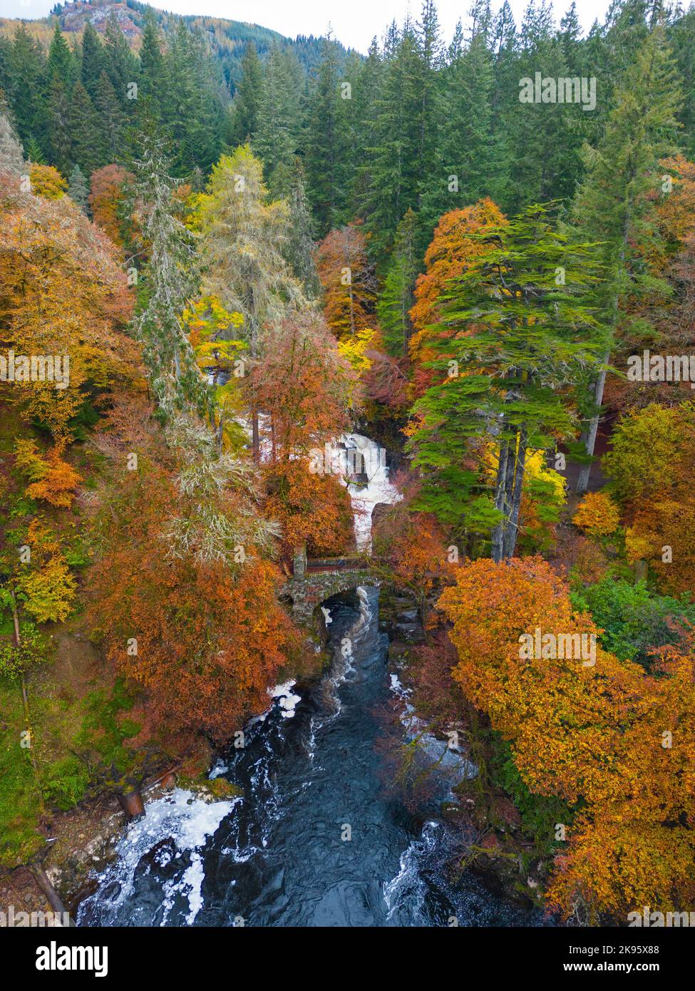 Aerial view of autumn colours surrounding Black Linn Falls on River ...