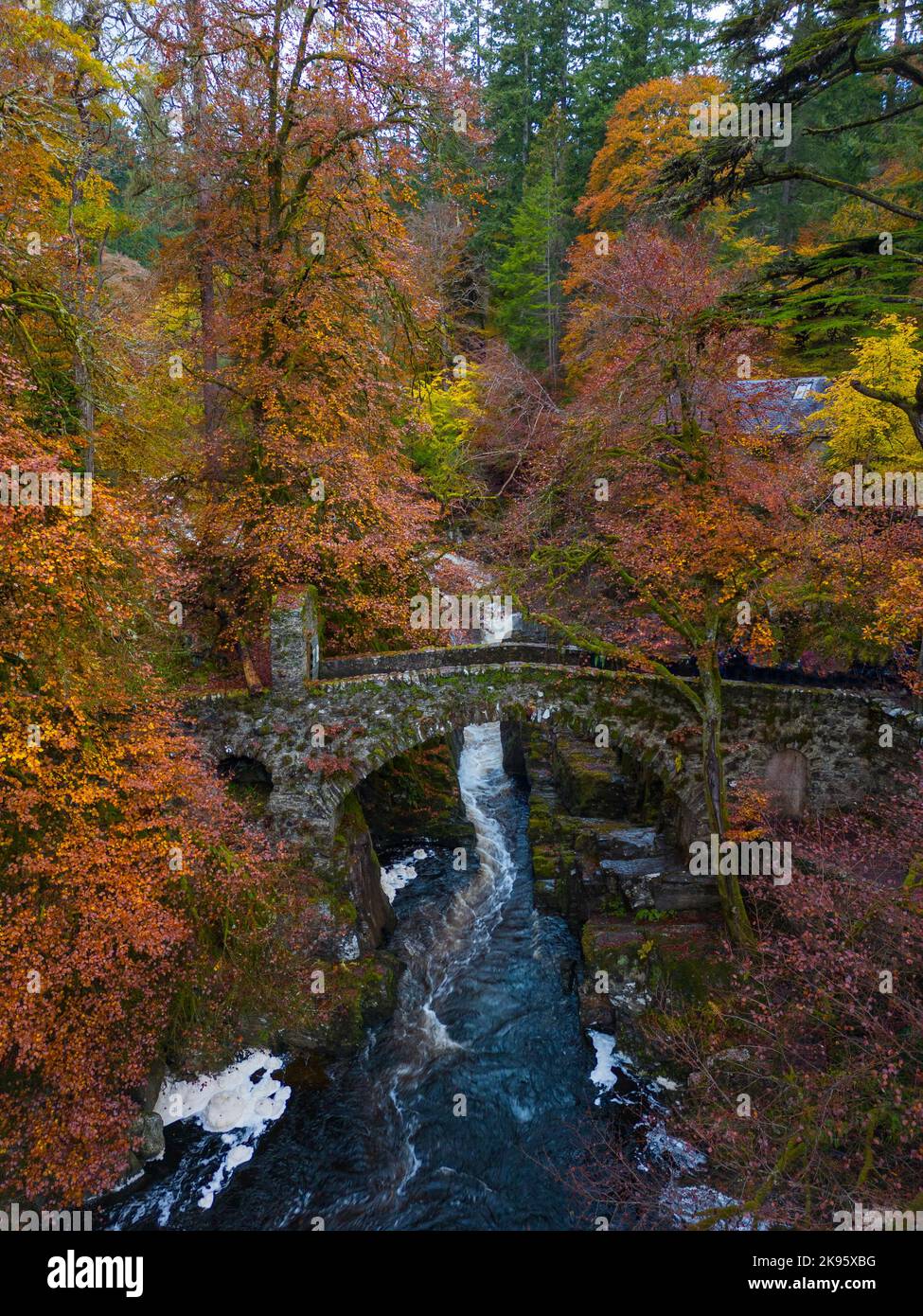 Aerial view of autumn colours surrounding Black Linn Falls on River ...