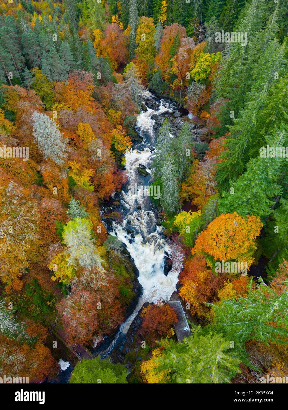 Aerial view of autumn colours surrounding Black Linn Falls on River ...