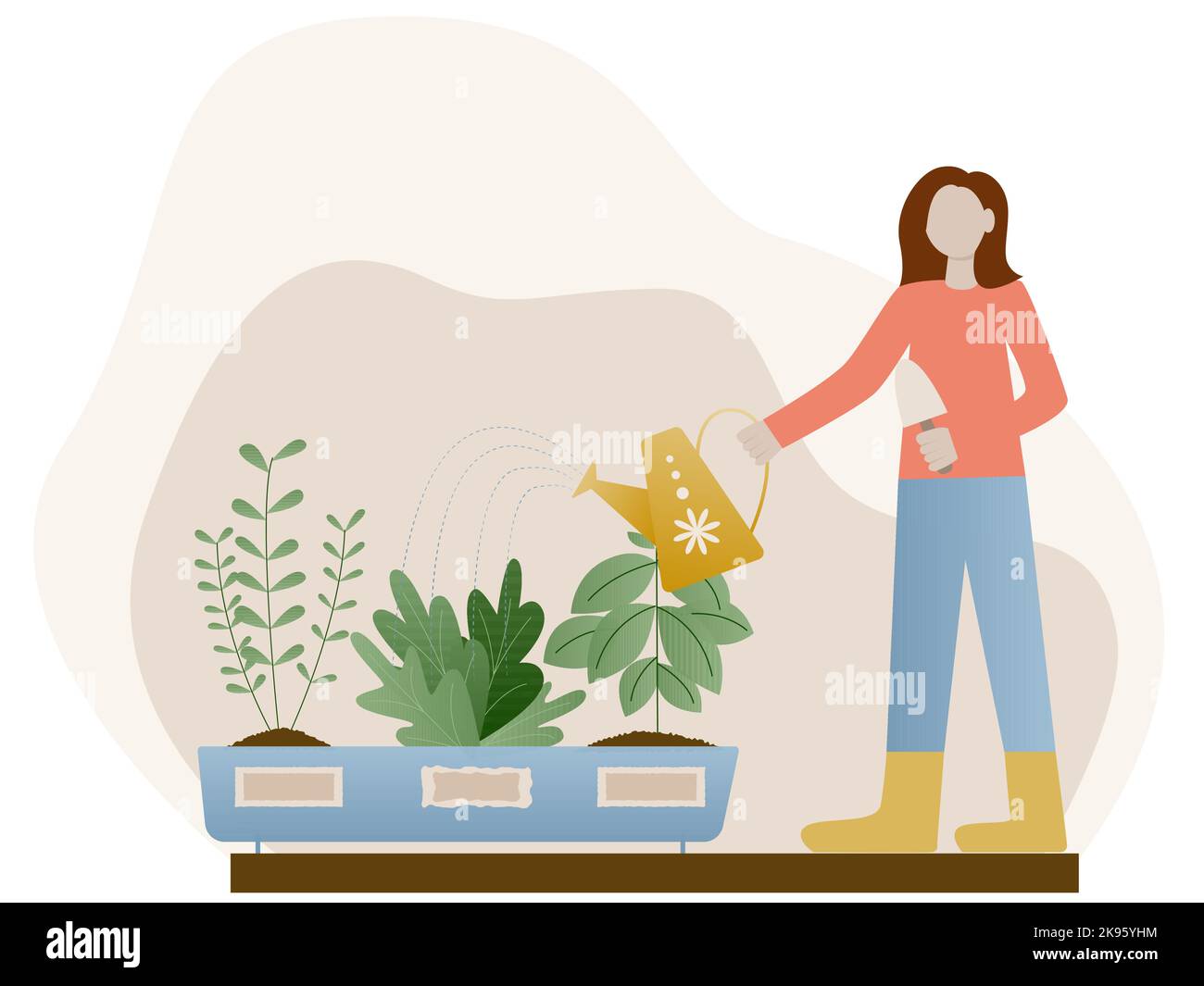 Woman planting gardens flowers, agriculture gardener hobby and garden ...