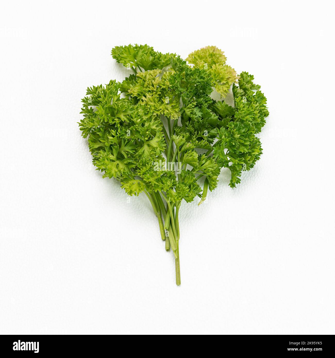 Parsley bunch white background isolated white background leaves bundle ...