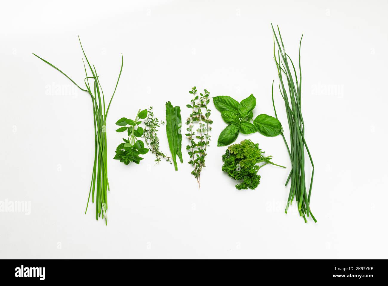 Caribbean herbs green seasoning Shadon benny local Trinidad and Tobago ...