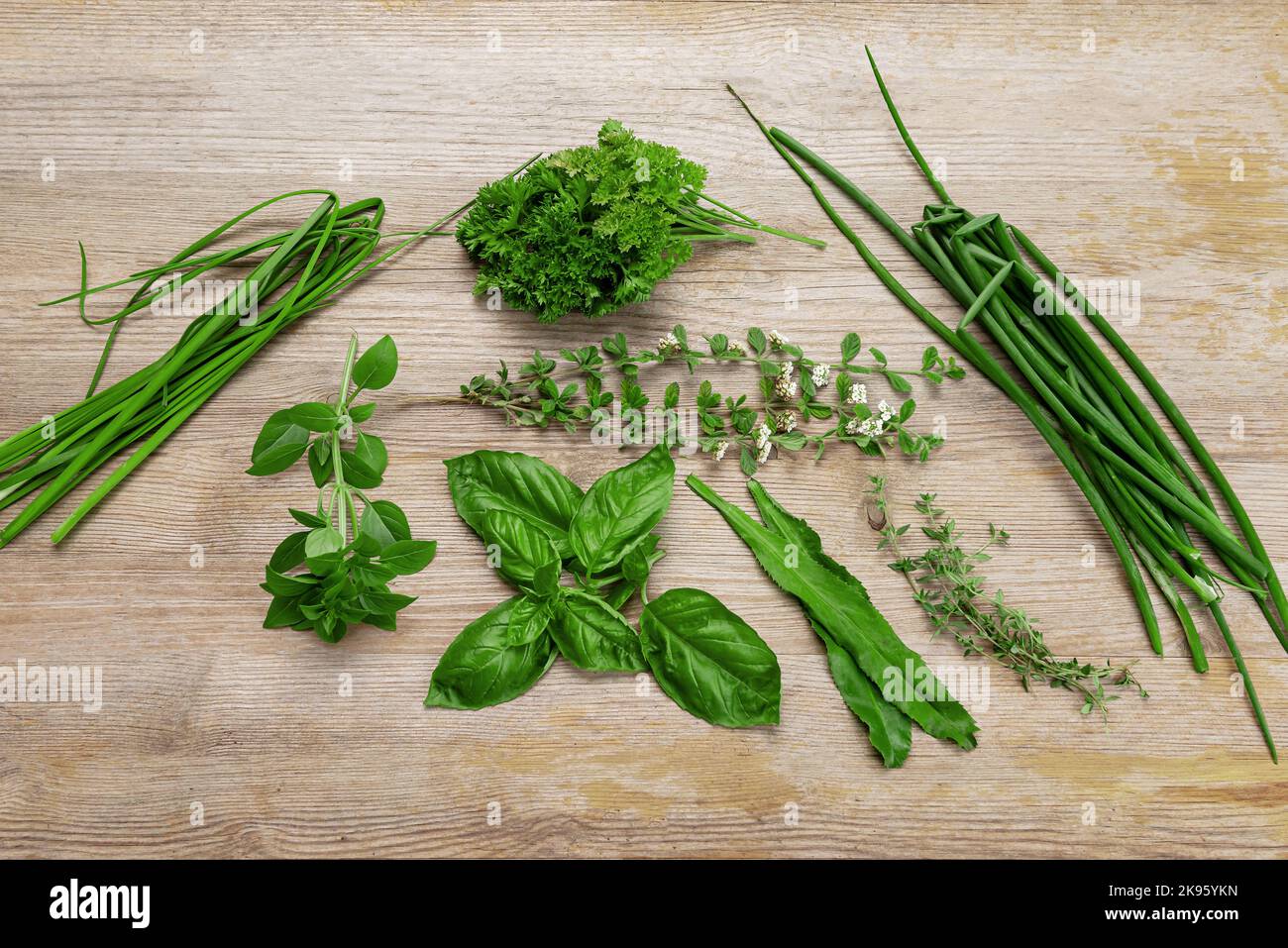 Caribbean herbs green seasoning Shadon benny local Trinidad and Tobago ...