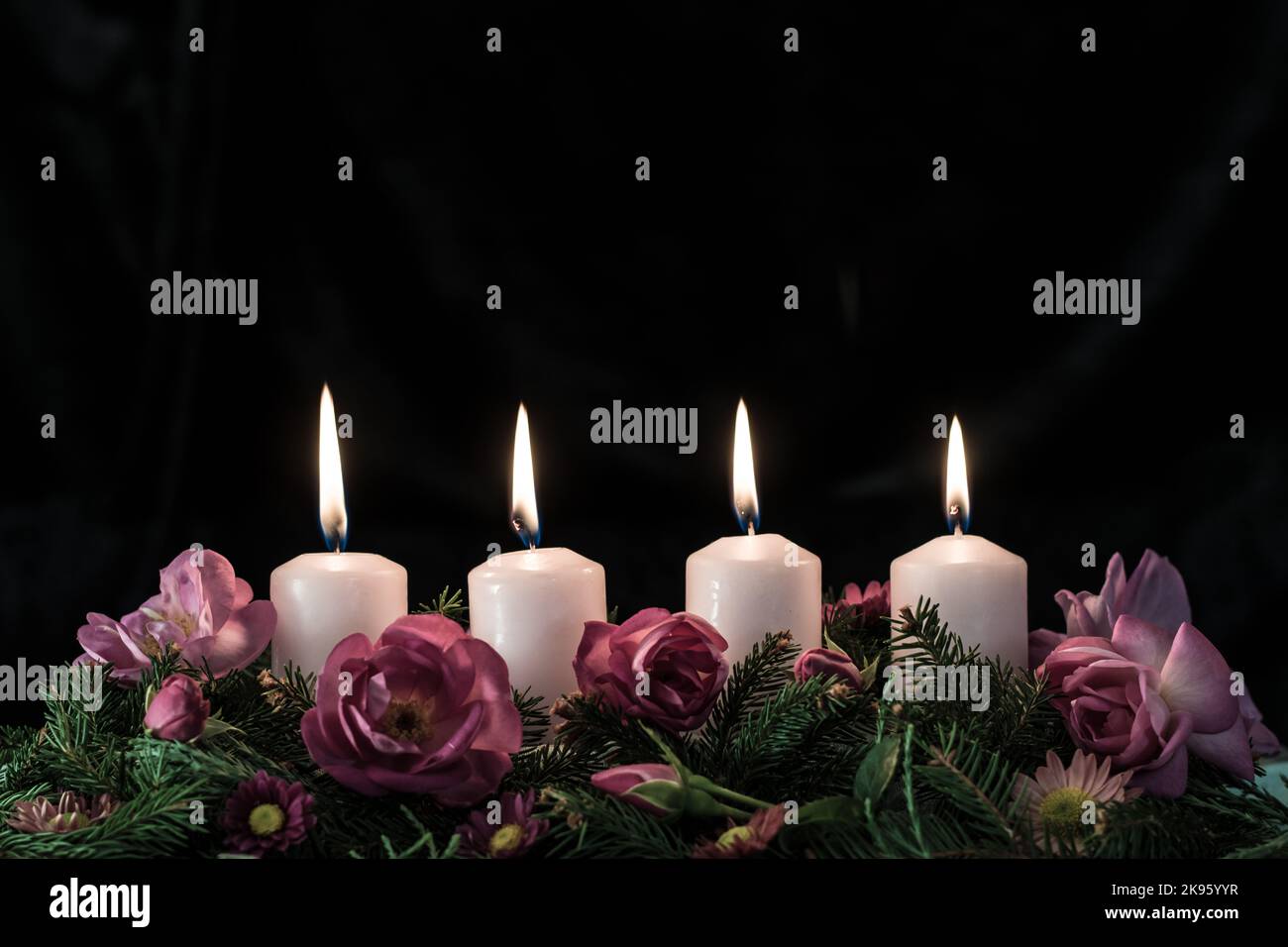 fourth burning advent candle on decorated rose flower pink advent ...