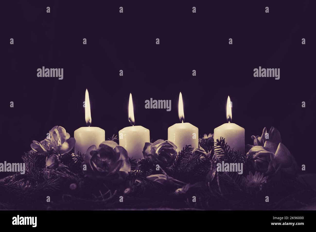 fourth burning advent candle on decorated rose flower pink advent ...