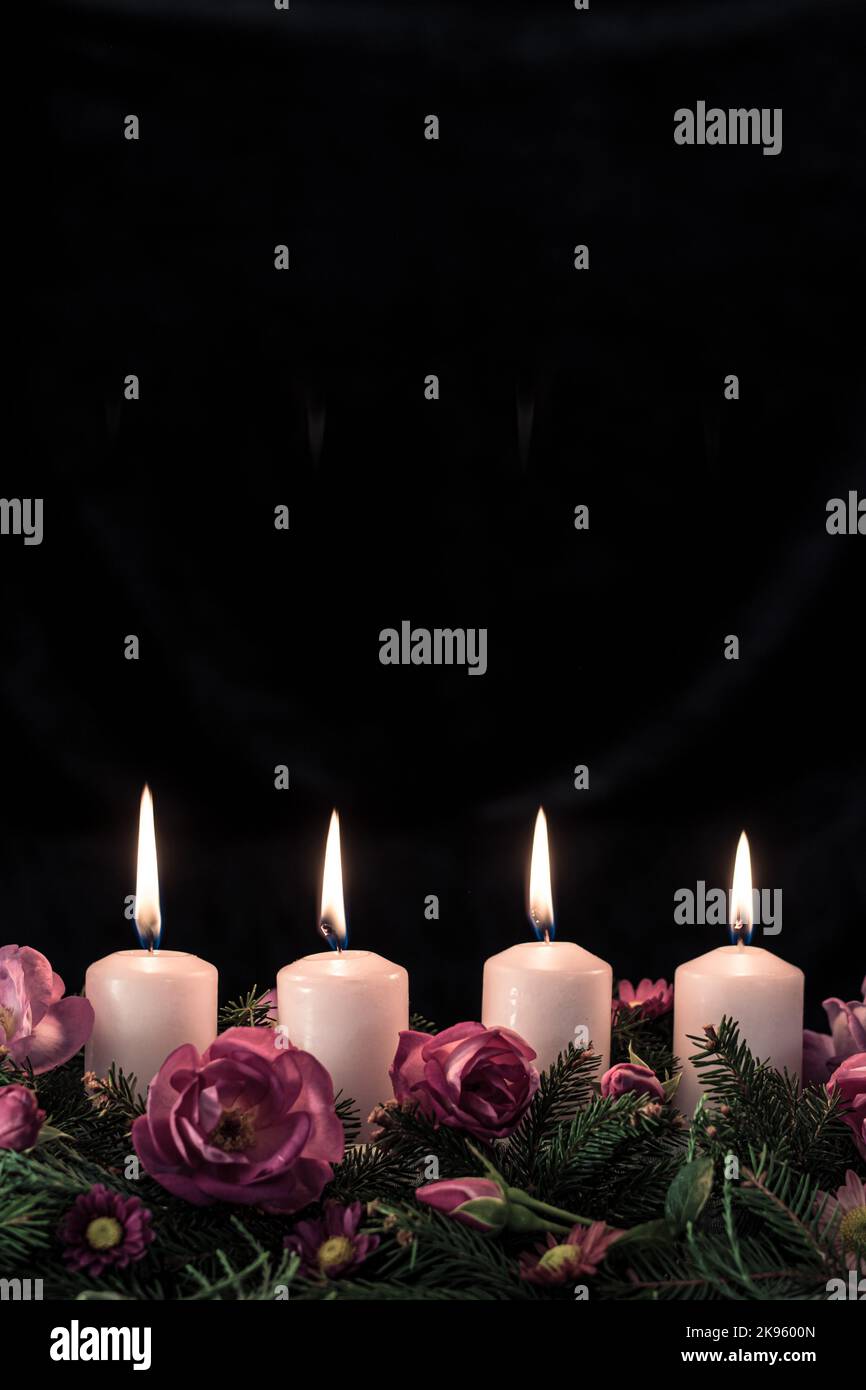 fourth burning advent candle on decorated rose flower pink advent ...