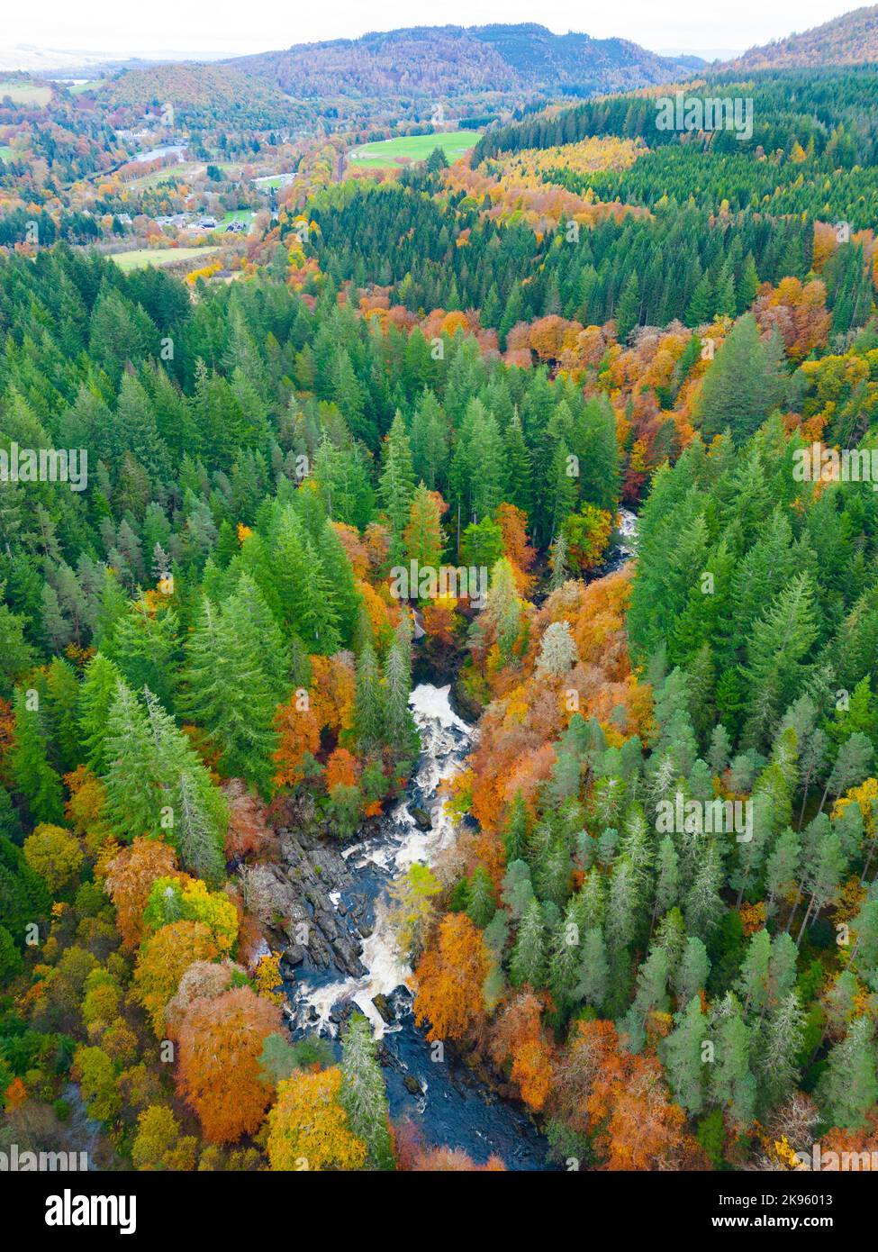Aerial view of autumn colours surrounding Falls of Braan on River Braan ...