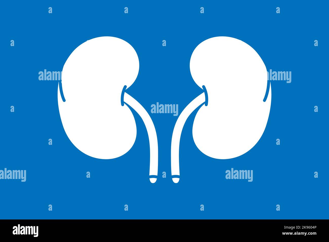 Human kidneys symbol isolated on blue background. Human organ icon. Vector illustration Stock ...