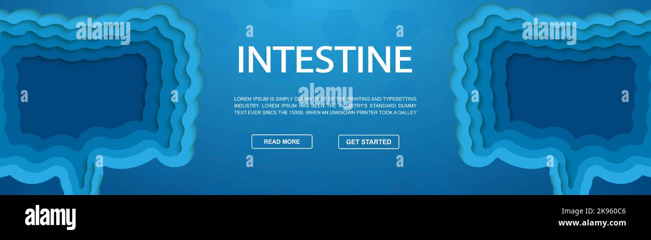 Intestine paper cut symbol for promotion banner. Horizontal paper cut ...