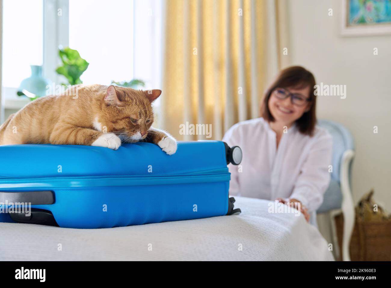 Sad ginger cat lying on suitcase of owner middle-aged woman Stock Photo ...