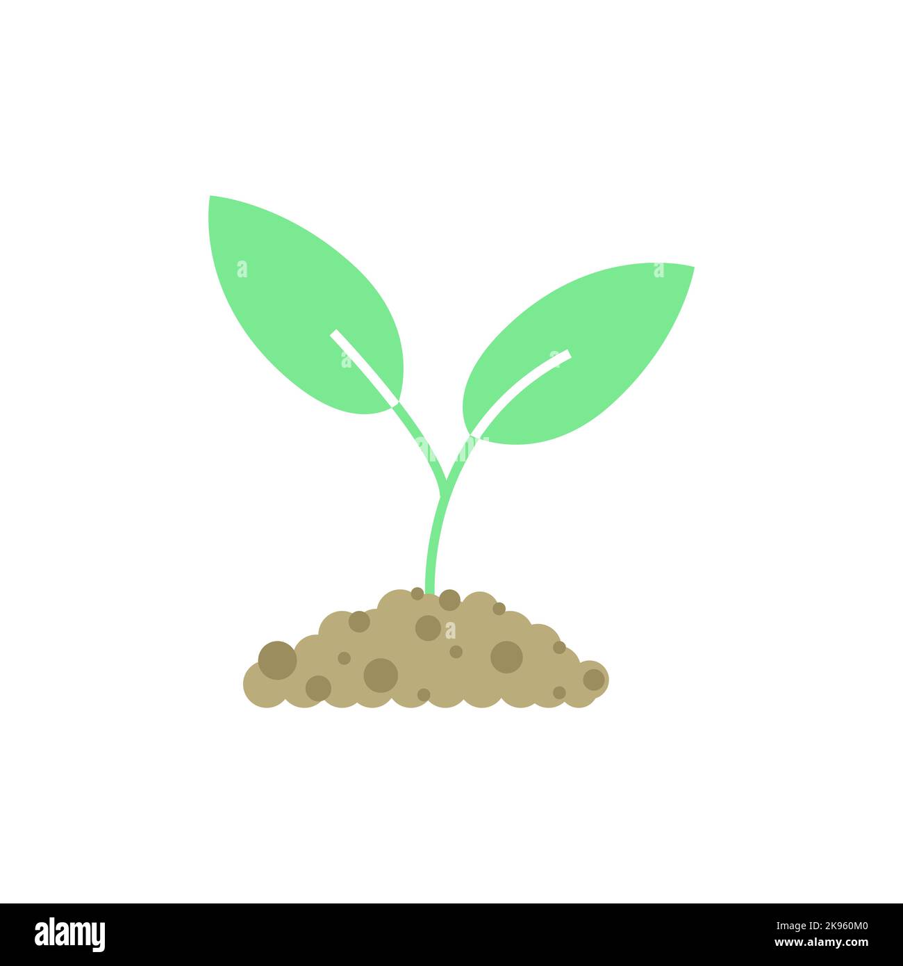 Illustration of a young green plant sprout Stock Vector Image & Art - Alamy