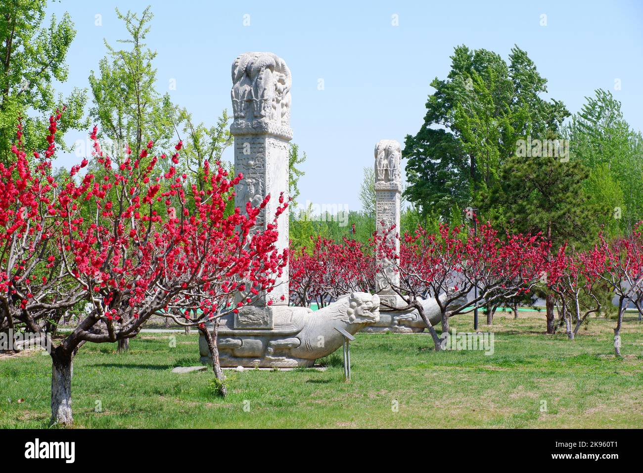 The Weiwu family tomb surrounded by Chinese plum trees in Nanyuan ...