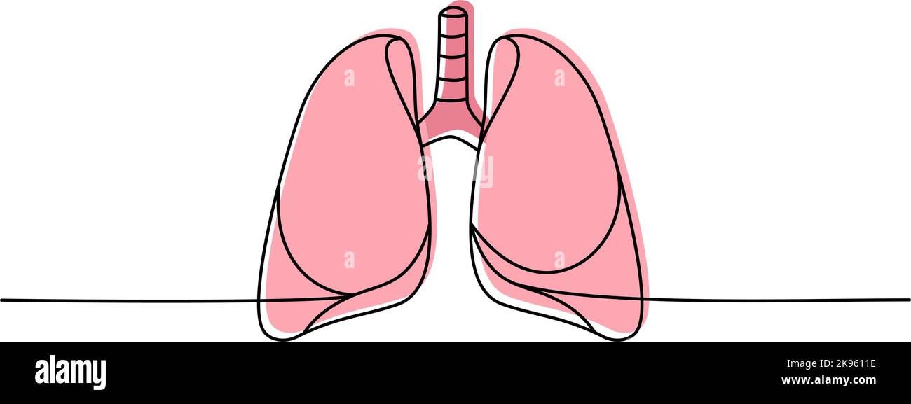 Human lungs one line colored continuous drawing. Human organ continuous colorful one line ...