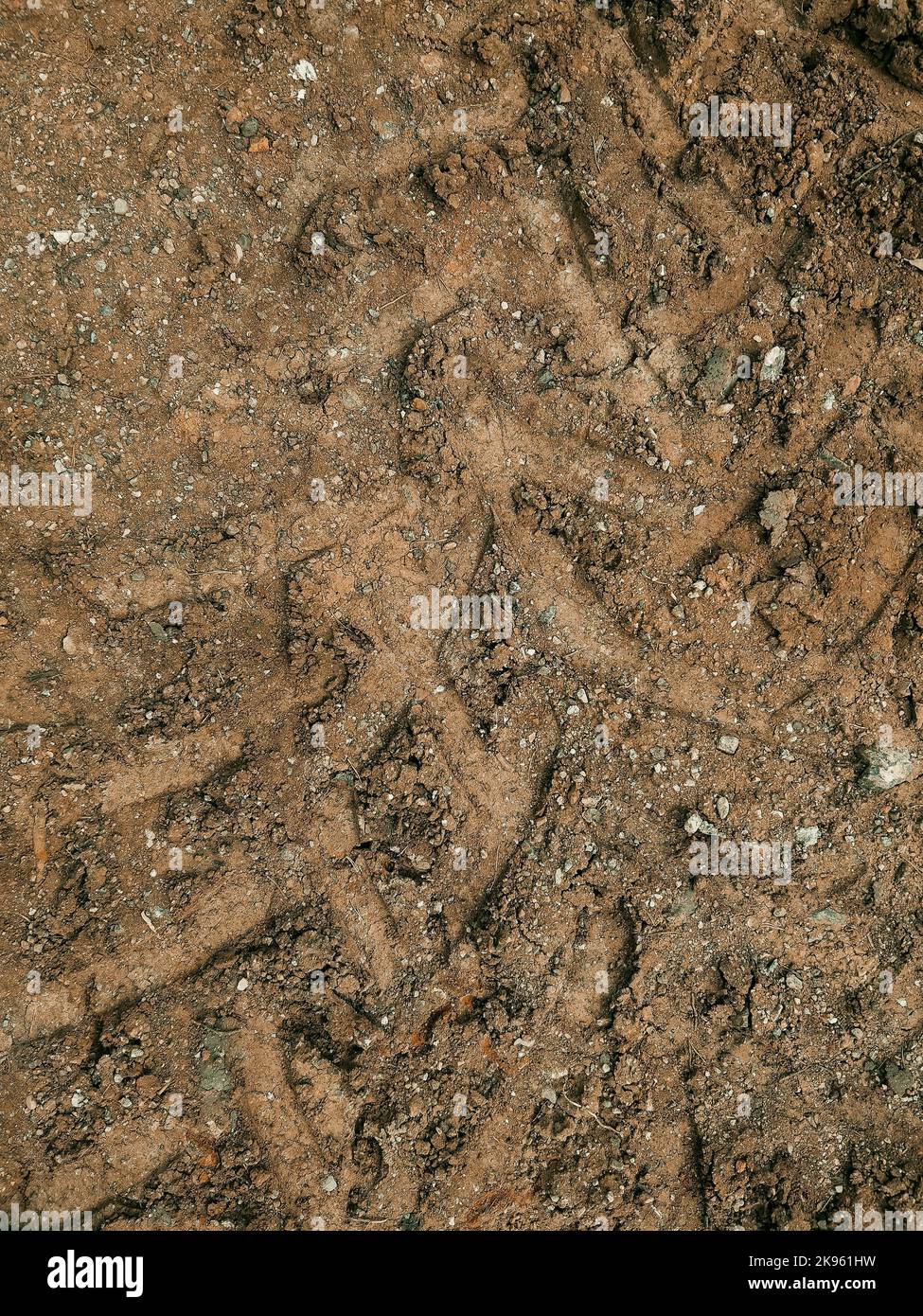 A vertical top view of sandy ground with pebbles Stock Photo - Alamy