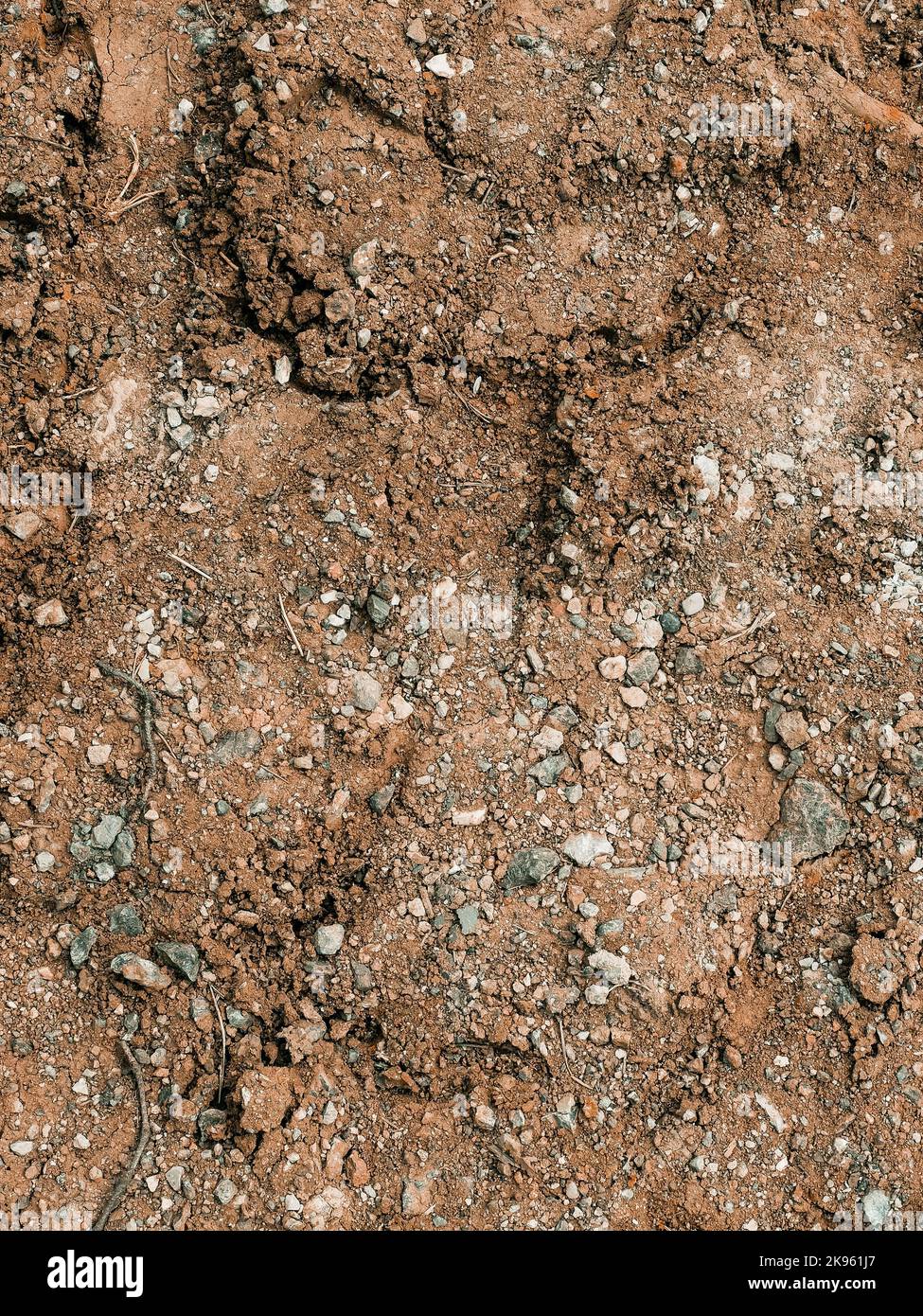 A vertical top view of sandy ground with pebbles Stock Photo - Alamy