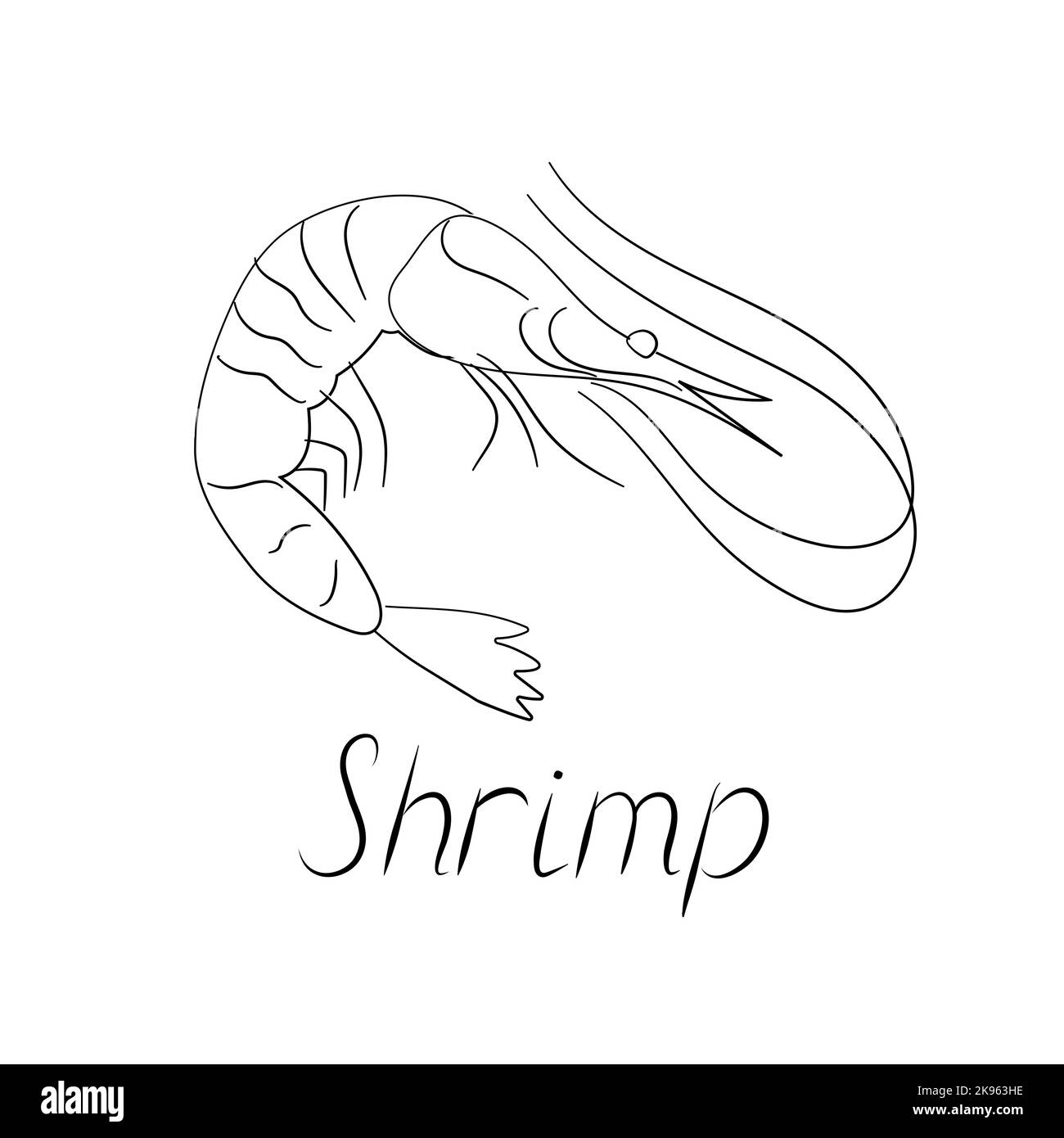 Prawn illustration Black and White Stock Photos & Images - Alamy