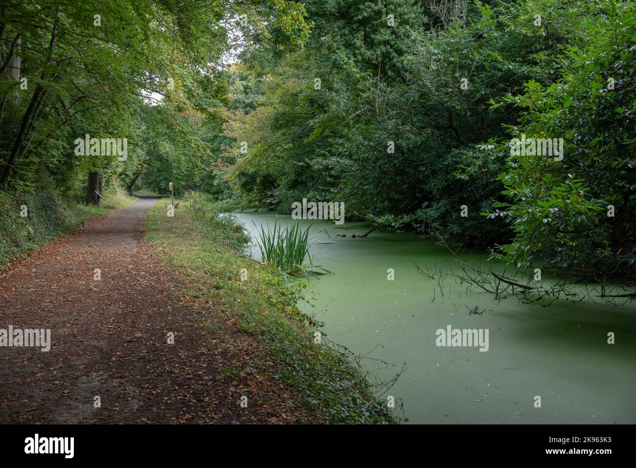 Ramparts Walk in Navan Ireland Stock Photo - Alamy