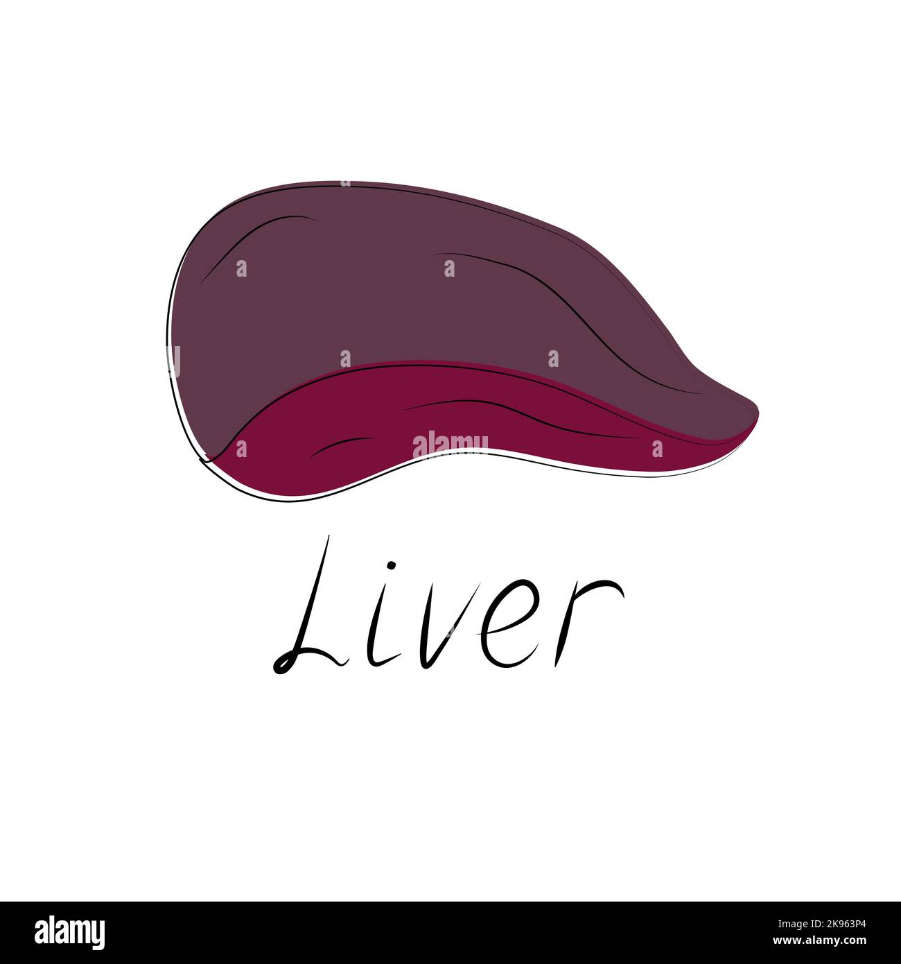 Liver illustration and hand-written inscription. Vector logo Stock ...