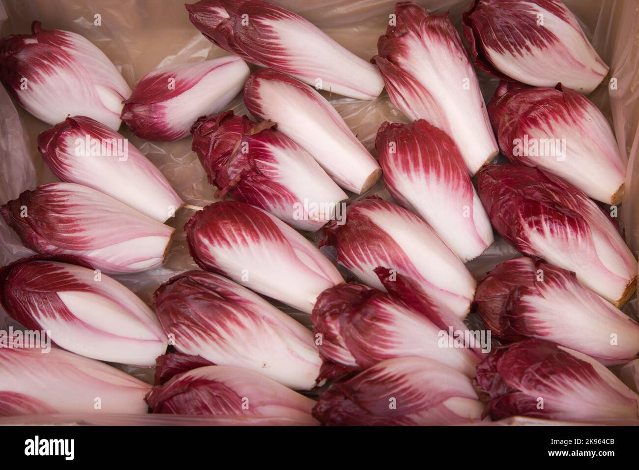 Monaco and la condamine and market hi-res stock photography and images ...