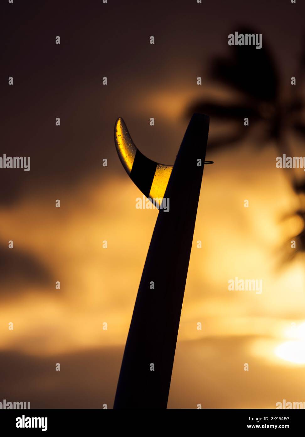 A low angle view of longboard fin isolated in blurred background Stock ...