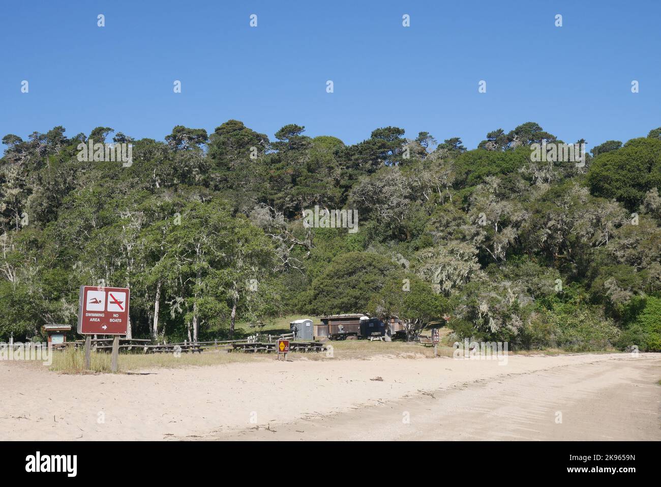 A dense forest of moss covered trees surrounds Heart's Desire Beach in ...