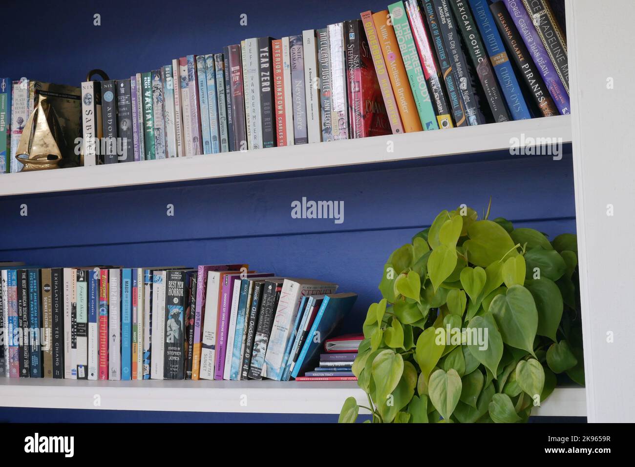 A painted bookshelf with many books, house plant, and a brass bookend ...