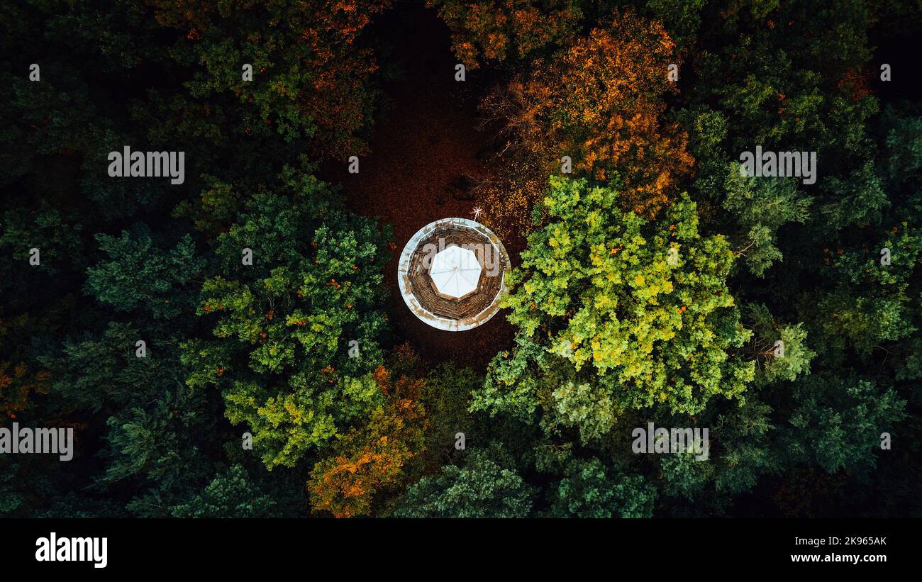 Tower in the Forest Stock Photo - Alamy