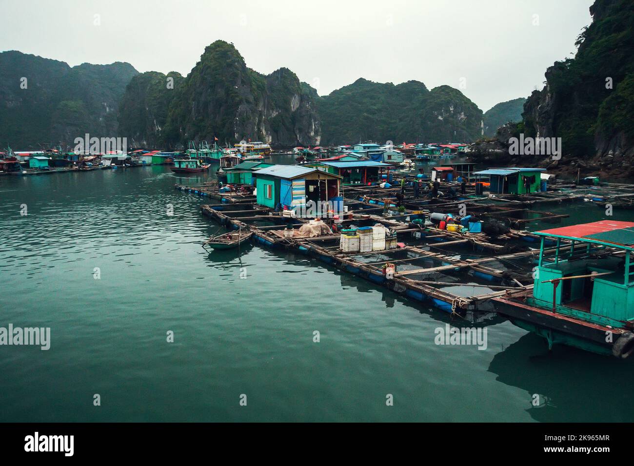 floating fish farm in ha long bay vietnam. production of fish and ...