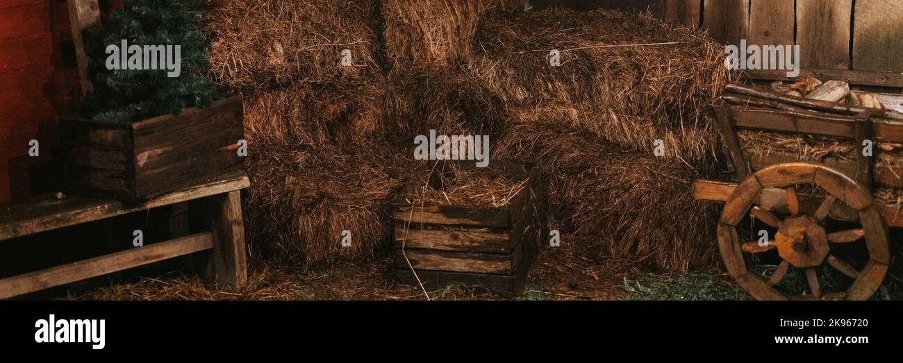 sheaves of hay in a wooden barn. harvesting food dry straw for feeding ...
