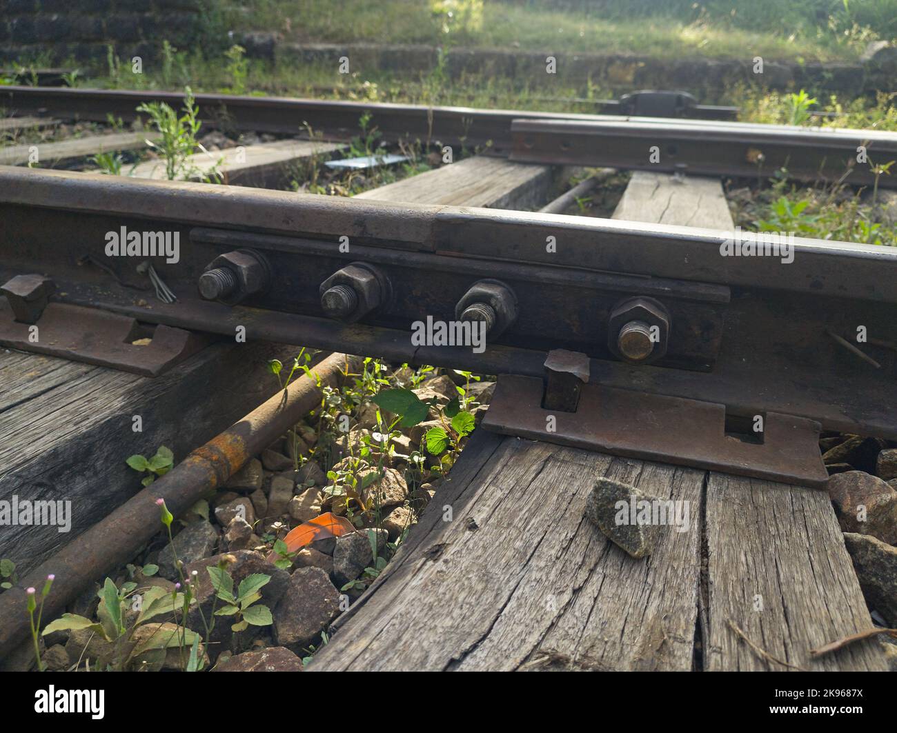 close-up of railroad rail joint or connection with grown weeds or grass ...
