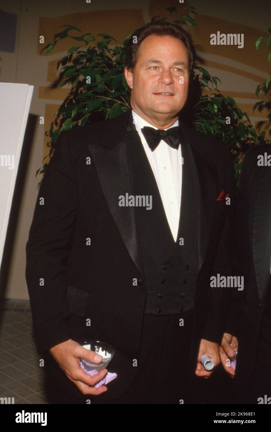 Michael Wayne at the American Ireland Fund Premiere Heritage Awards ...