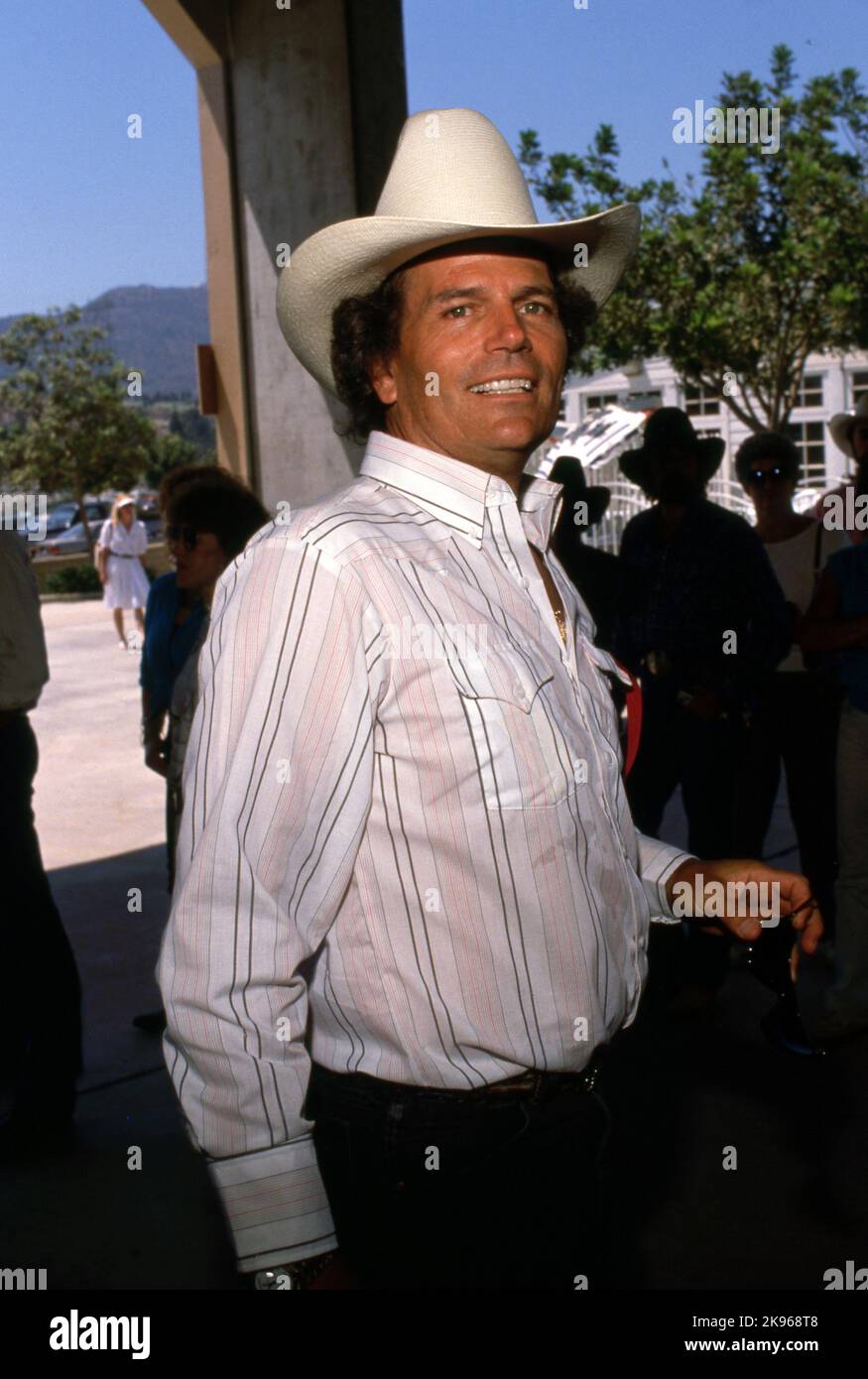 Patrick Wayne Circa 1980's Credit: Ralph Dominguez/MediaPunch Stock ...
