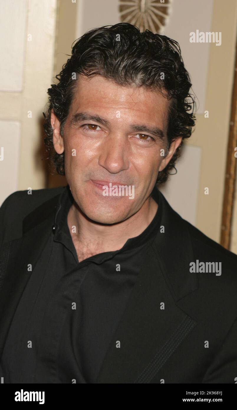 Rainforest concert hi-res stock photography and images - Alamy