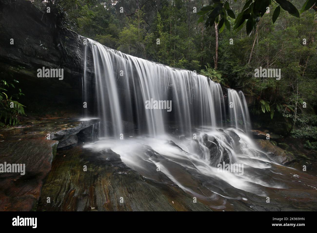A long exposure shot of the Somersby Falls waterfall with trees in the ...