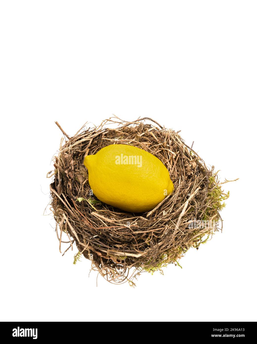 Birds nest with nesting lemon Stock Photo - Alamy