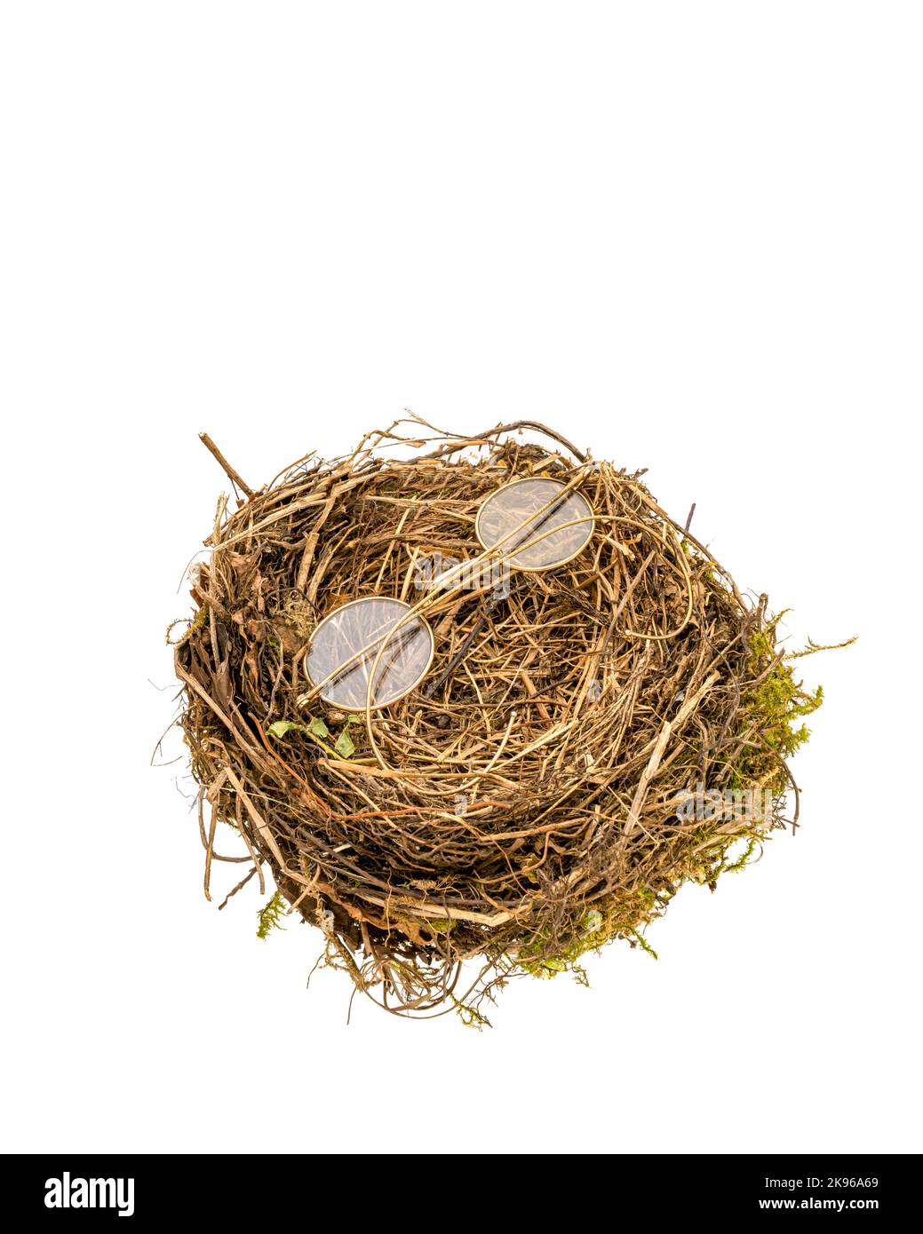 Birds nest with nesting spectacles Stock Photo - Alamy