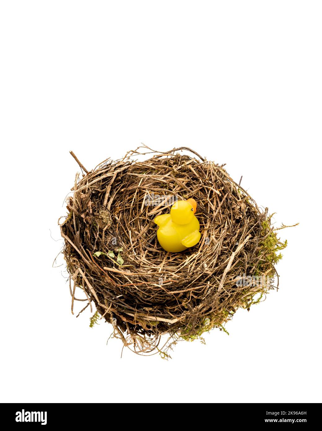 Plastic branches Cut Out Stock Images & Pictures - Alamy