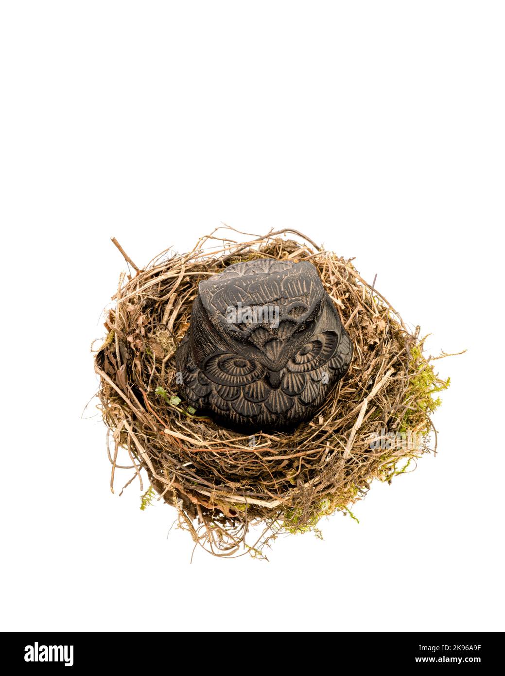 Birds nest with nesting owl Stock Photo - Alamy