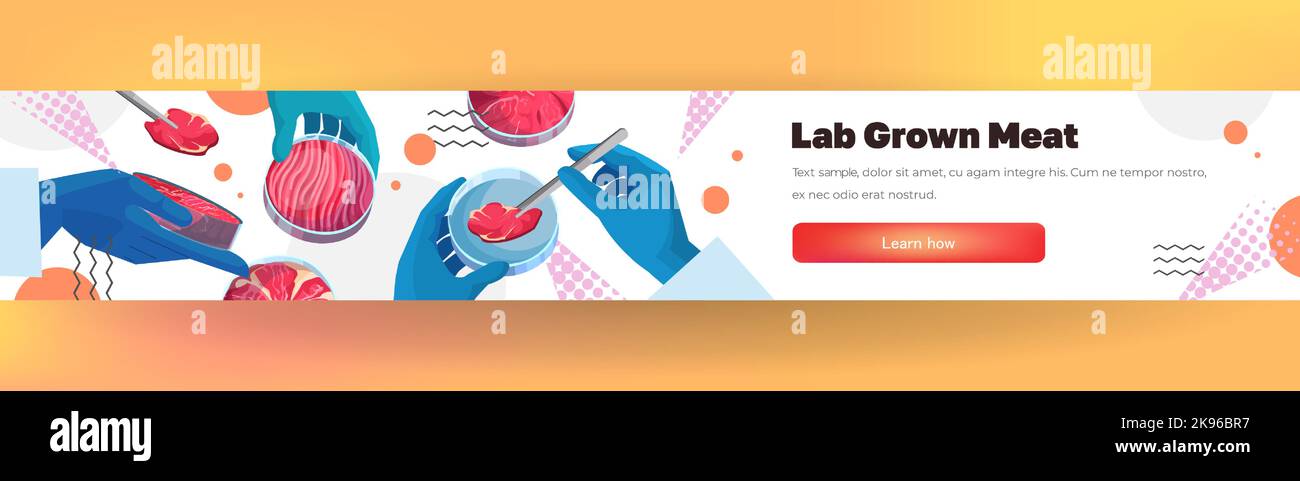 scientists hands holding cultured red raw meat made from animal cells ...