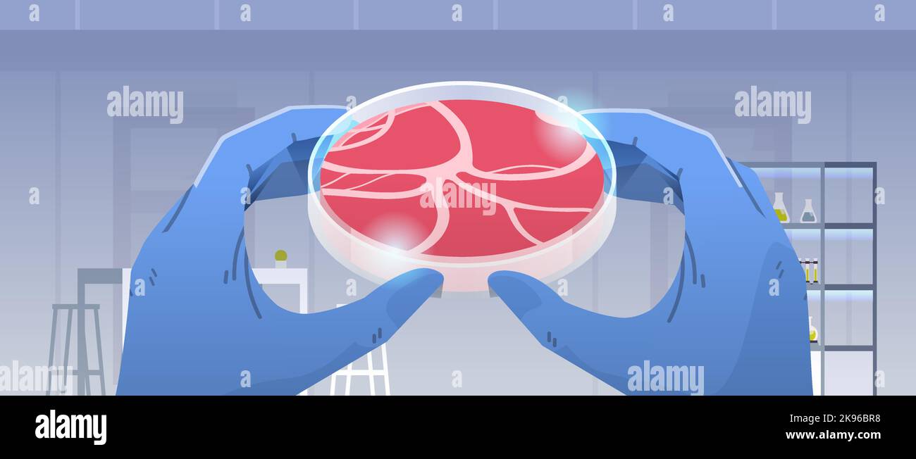 scientist hands holding cultured red raw meat made from animal cells ...